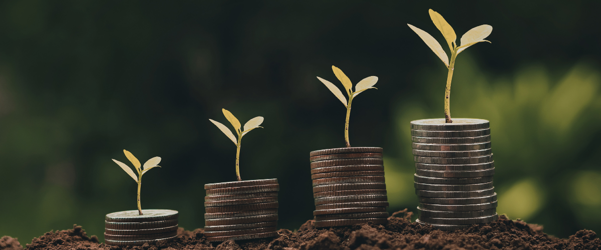 Thin Capitalisation reforms and their impact on corporate tax ...