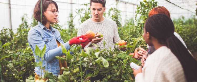 Industry Growth Program welcoming applications from inventive SMEs - PKF