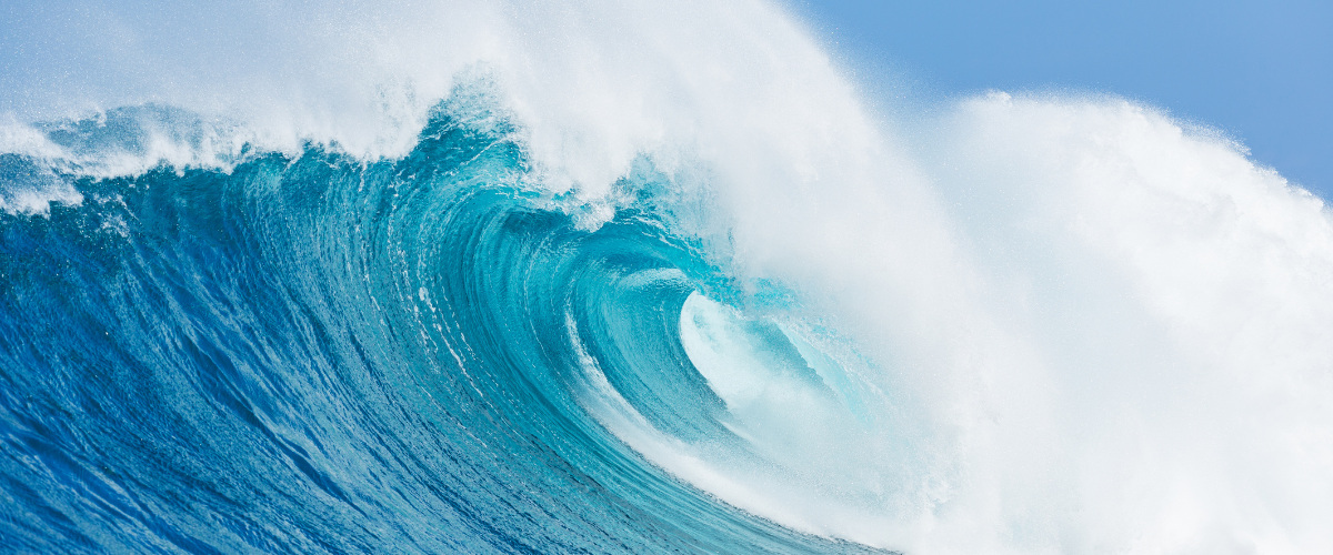 The wave is coming - PKF