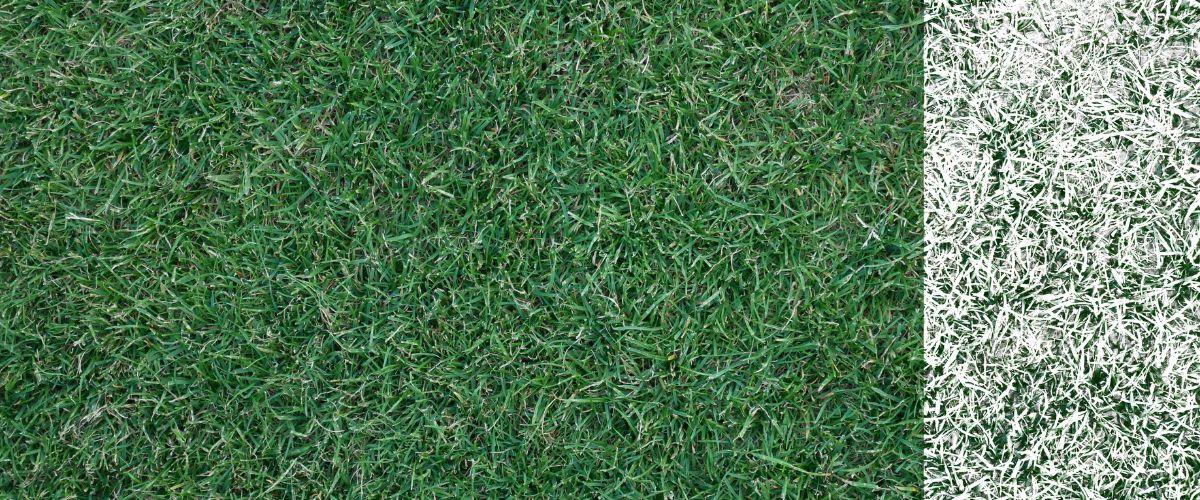 Proudly supporting the Nelson Bay Touch Football Association - PKF